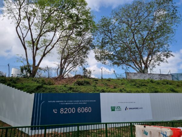 Pinetree Hill Condo, Singapore | Pine Grove New Launch